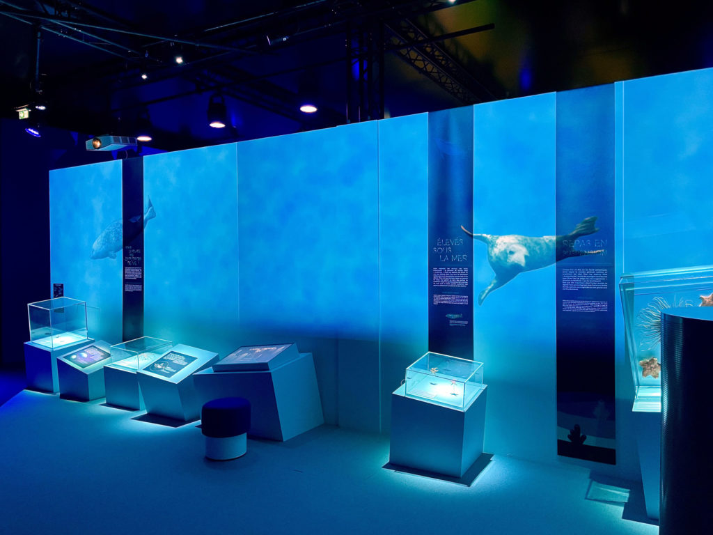 Exposition Ocean une plongee insolite_Atrium Rouen Science Action ...